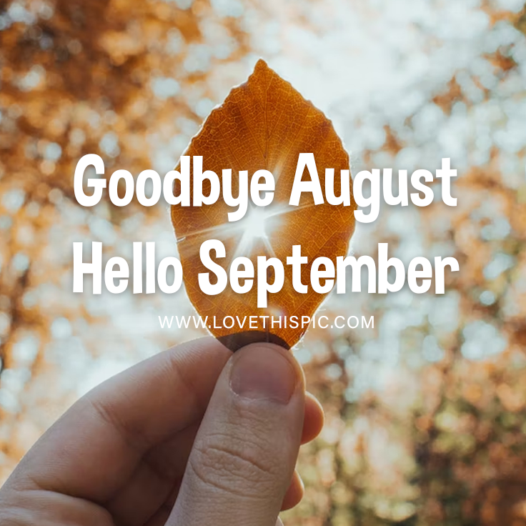 Person Holding Fall Leaf - Goodbye August, Hello September Pictures ...