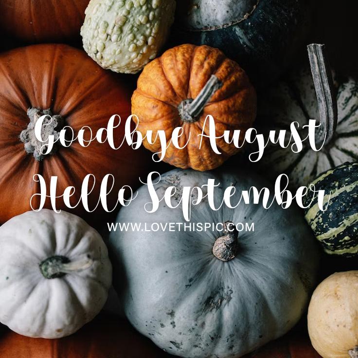 Pumpkin Assortment - Goodbye August, Hello September Pictures, Photos ...