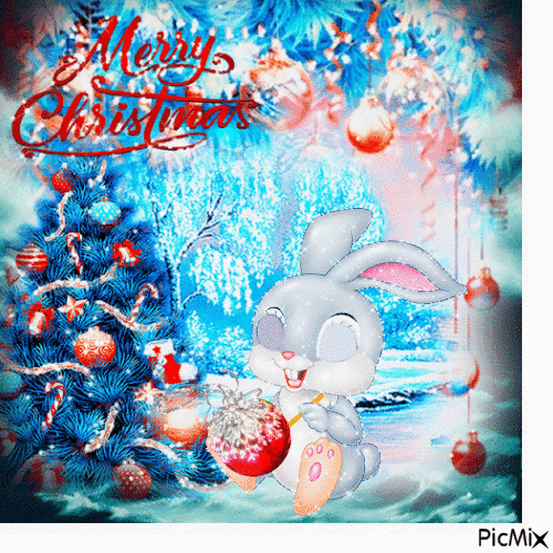 Baby Rabbit - Merry Christmas Pictures, Photos, and Images for Facebook ...