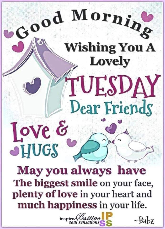 Lovebirds - Good Morning, Wishing You A Lovely Tuesday Dear Friends ...