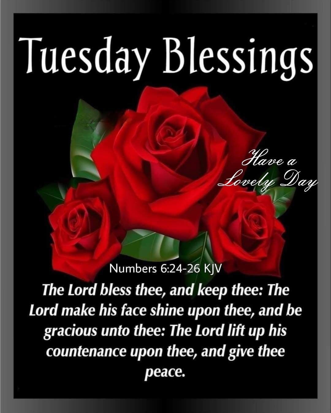 3 Red Roses - Tuesday Blessings Pictures, Photos, and Images for ...