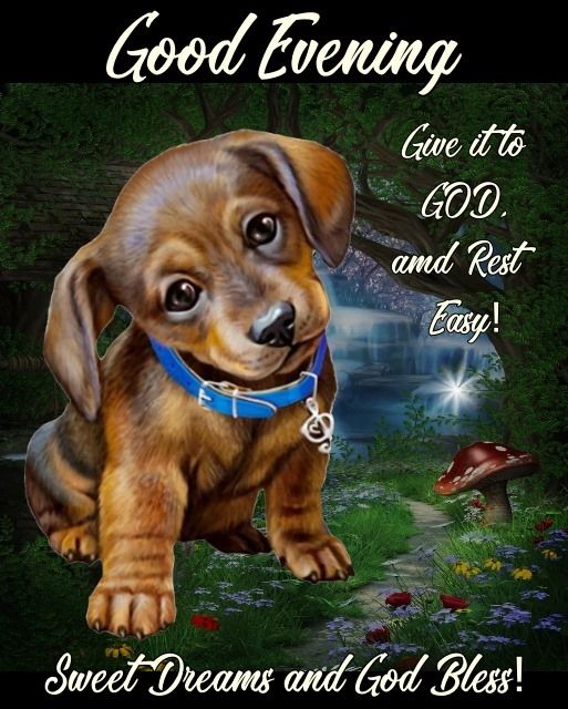 Good Evening Pictures, Photos, and Images for Facebook, Tumblr ...