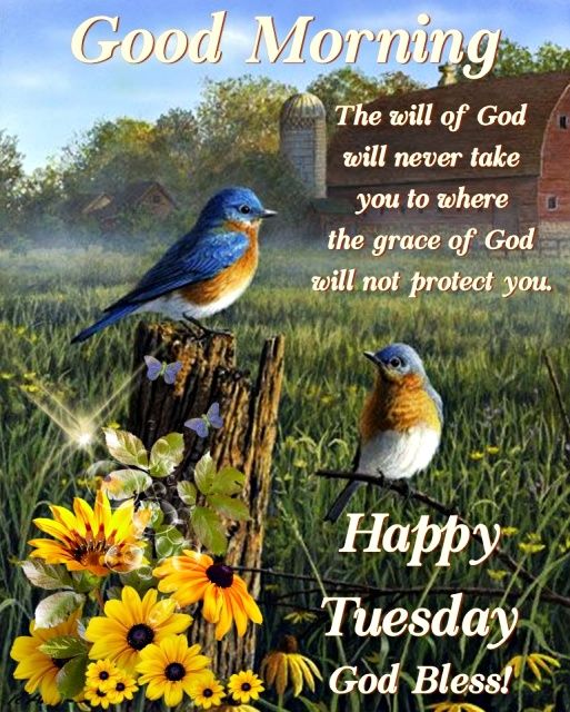 Good Morning, Happy Tuesday, God Bless Pictures, Photos, and Images for ...