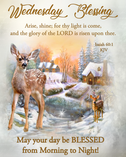 Winter Deer - Wednesday Blessing Quote Pictures, Photos, and Images for ...