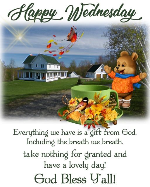 Happy Teddy Bear - Happy Wednesday Pictures, Photos, and Images for ...