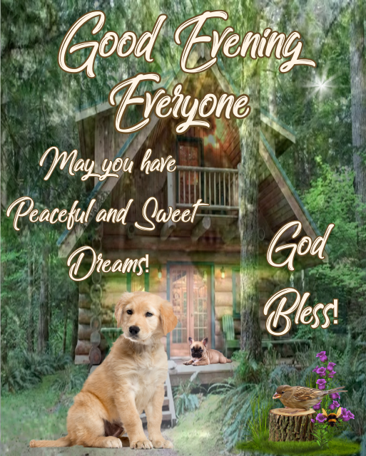 Good Evening Everyone, May You Have Peaceful And Sweet Dreams Pictures ...