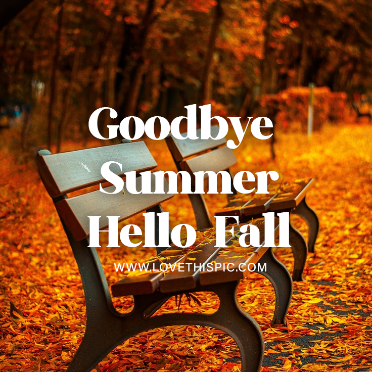 Autumn Park Bench - Goodbye Summer Hello Fall Pictures, Photos, and ...