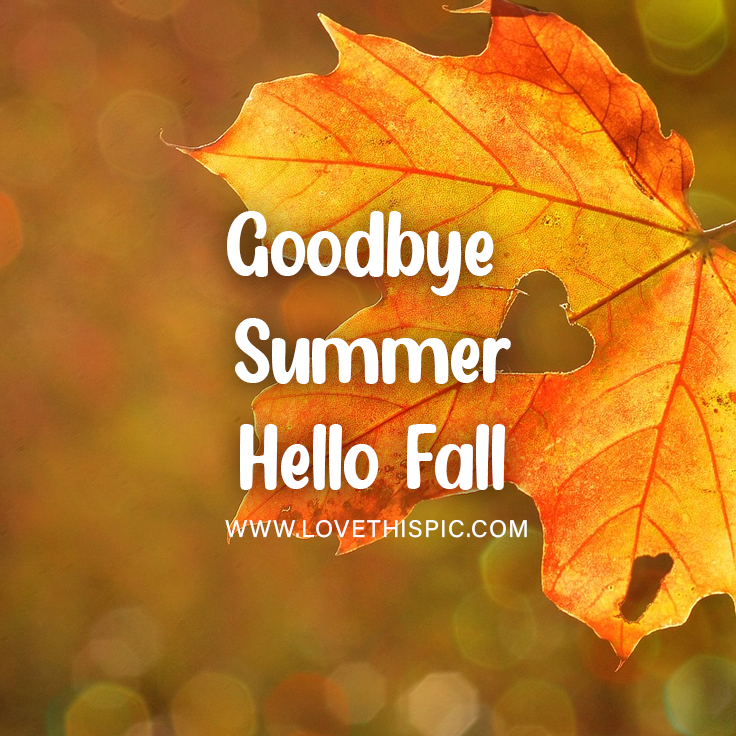 Heart Leaf - Goodbye Summer Hello Fall Pictures, Photos, and Images for ...