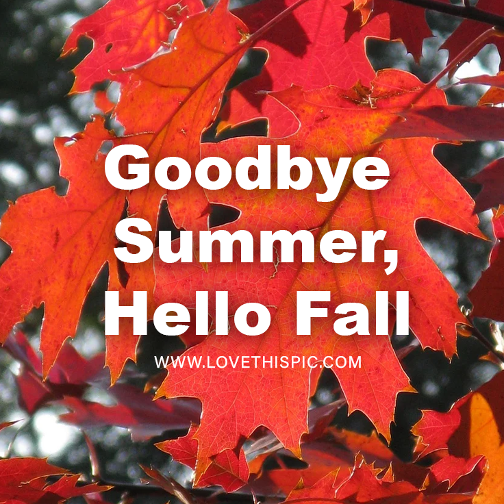 Red Leaves - Goodbye Summer, Hello Fall Pictures, Photos, and Images ...