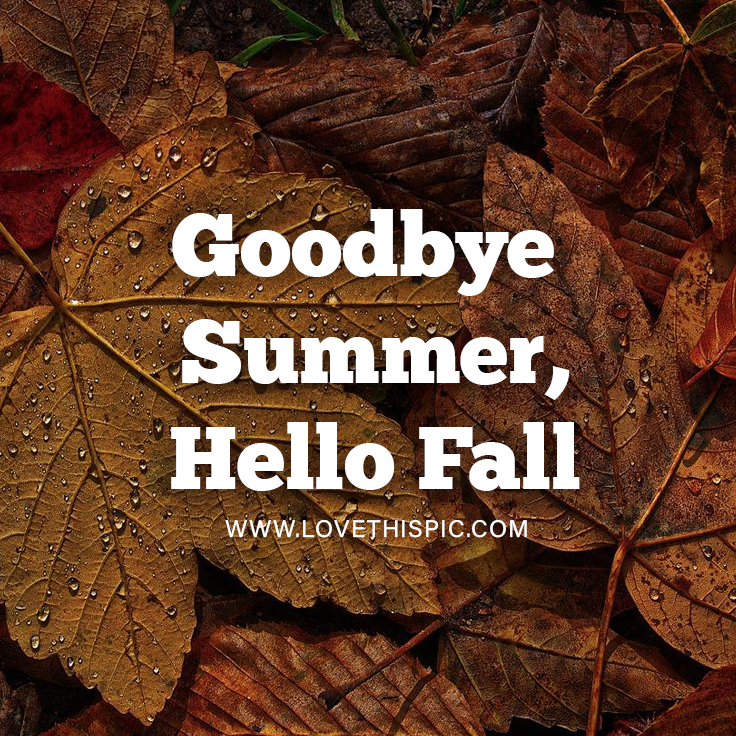 Wet Leaves - Goodbye Summer, Hello Fall Pictures, Photos, and Images ...
