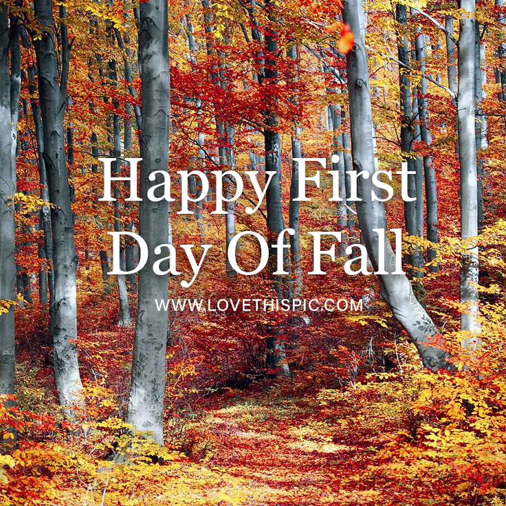 Colorful Fall Forest - Happy First Day Of Fall Pictures, Photos, and ...