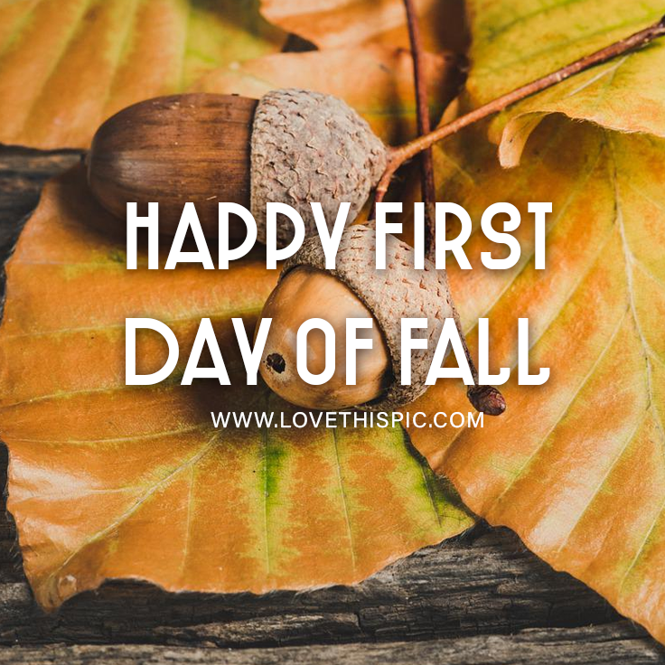 Acorn And Leaves - Happy First Day Of Fall Pictures, Photos, and Images ...