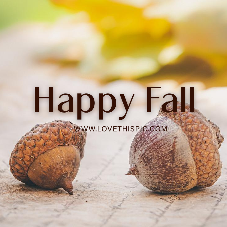 Acorns - Happy Fall Quote Pictures, Photos, and Images for Facebook ...
