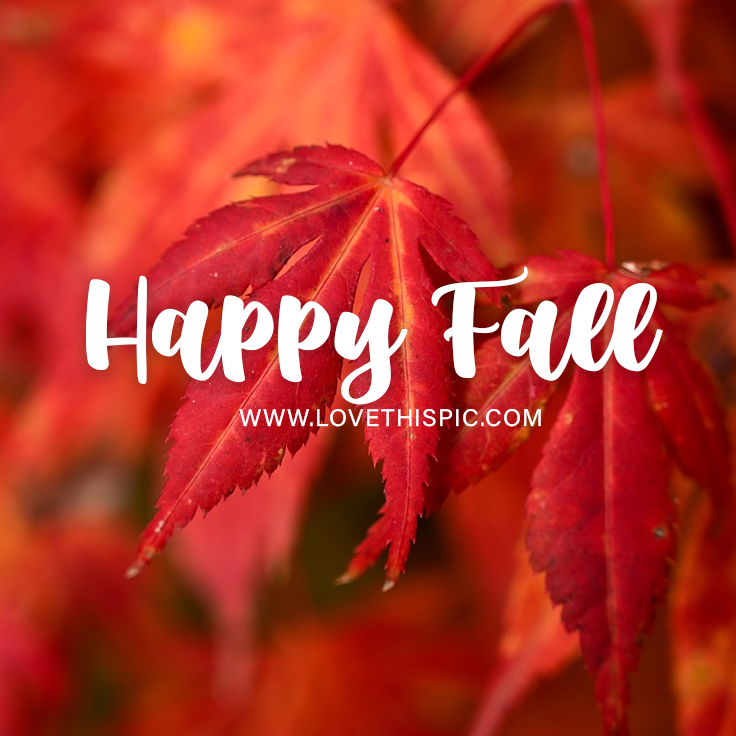 Big Red Maple Leaves - Happy Fall Pictures, Photos, and Images for ...