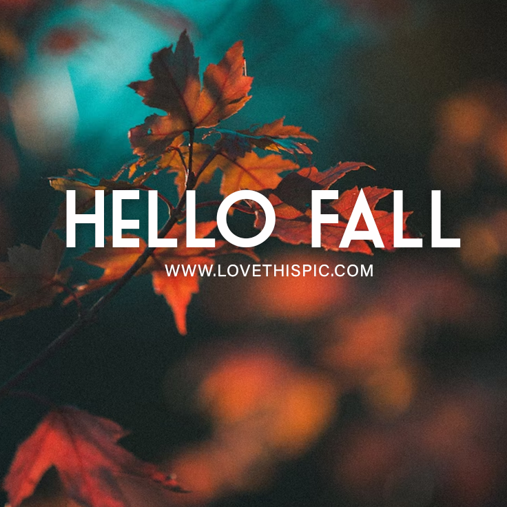 Brown And Red Maple Leaves - Hello Fall Pictures, Photos, and Images ...