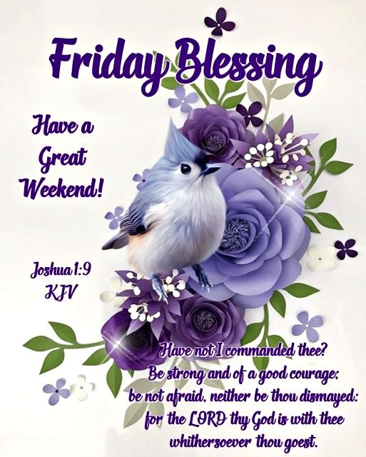 Baby Blue Bird - Friday Blessing Pictures, Photos, and Images for ...