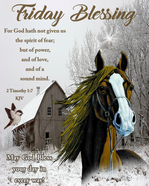 Horse In Barn - Friday Blessing Pictures, Photos, and Images for ...