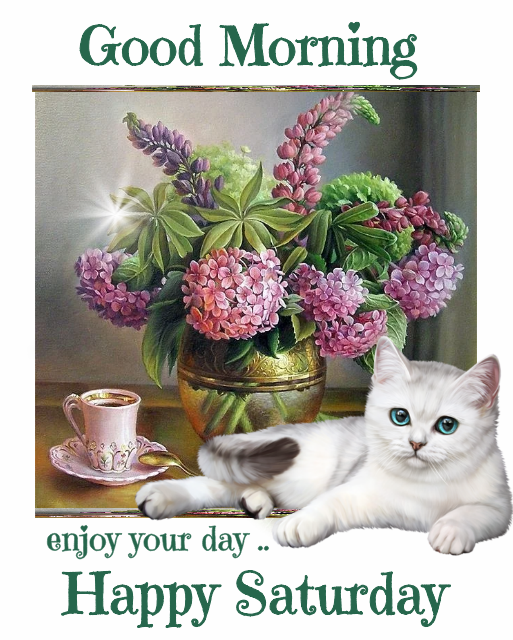 White Kitty - Good Morning, Happy Saturday Pictures, Photos, and Images ...