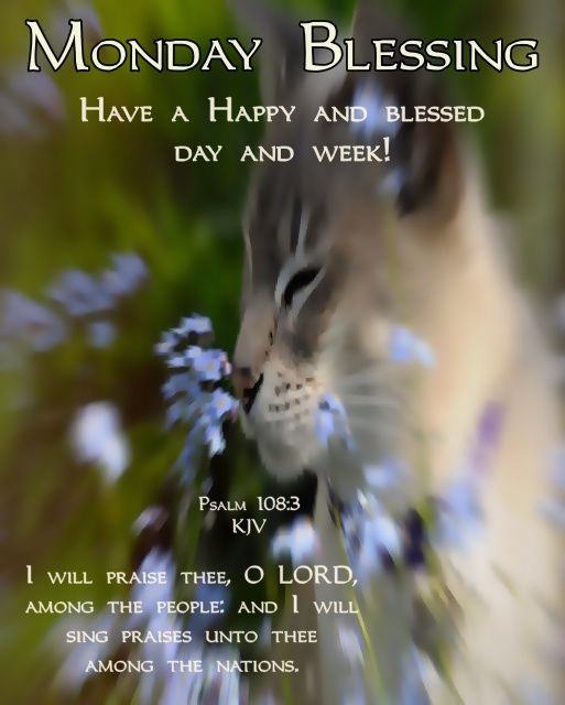 Monday Blessing, Have A Happy And Blessed Day And Week! Pictures ...