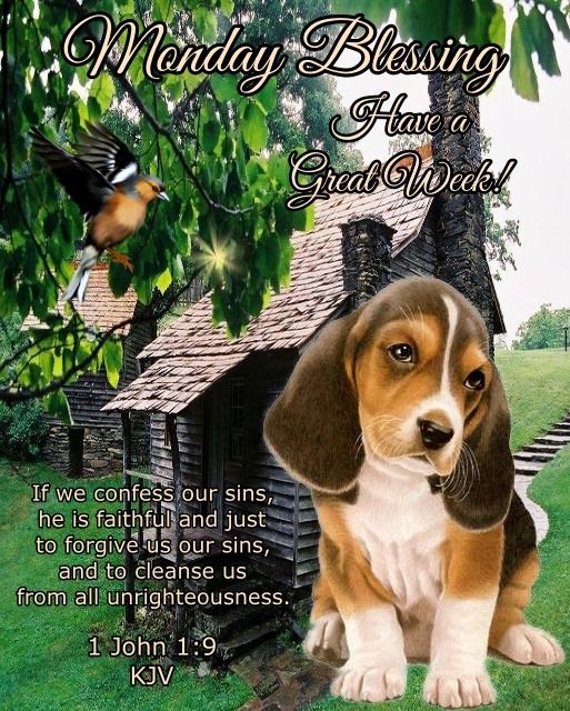 Adorable Doggy And Bird - Monday Blessing Pictures, Photos, and Images ...