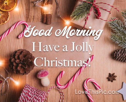 Good Morning, Have A Jolly Christmas Pictures, Photos, and Images for ...