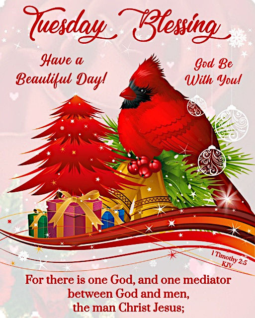 Christmas Cardinal - Tuesday Blessing Pictures, Photos, and Images for ...