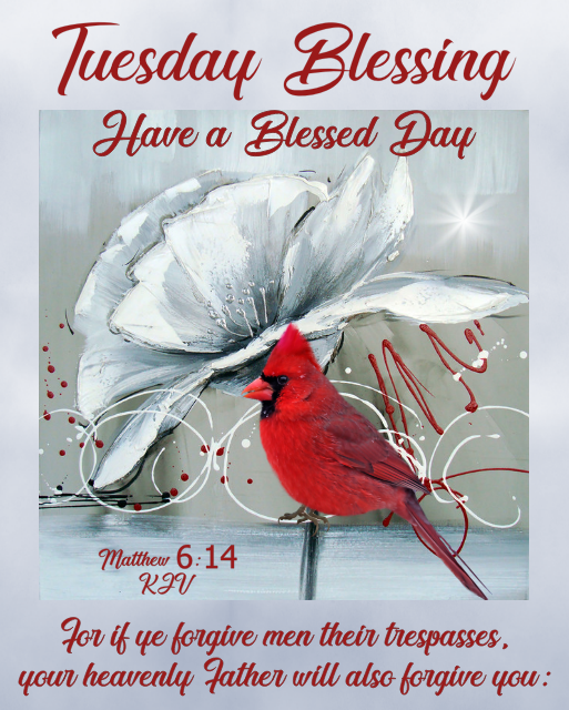 White Flower And Red Cardinal - Tuesday Blessing Pictures, Photos, and ...