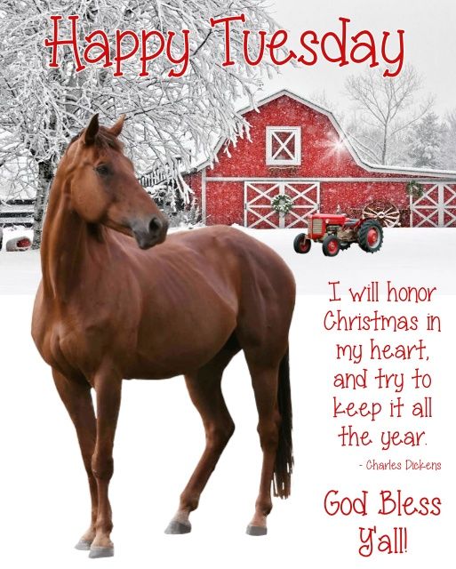 Horse At Barn - Happy Tuesday Pictures, Photos, and Images for Facebook ...