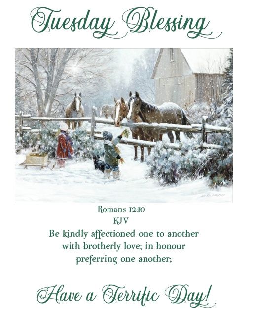 Romans 12:10 - Tuesday Blessing Pictures, Photos, and Images for ...