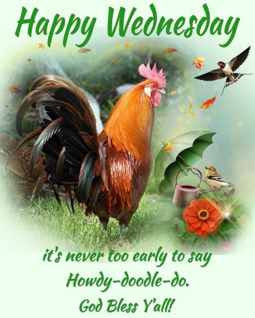 It's Never Too Early To Say Howdy Doodle Do. Happy Wednesday Pictures ...