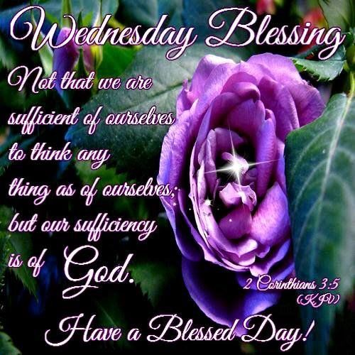 Happy Wednesday Blessing With Purple Rose Pictures, Photos, and Images ...