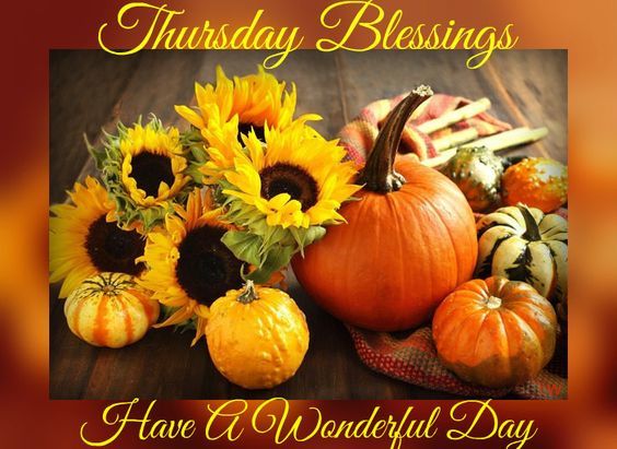 Sunflowers & Pumpkins - Thursday Blessings...Have A Wonderful Day ...