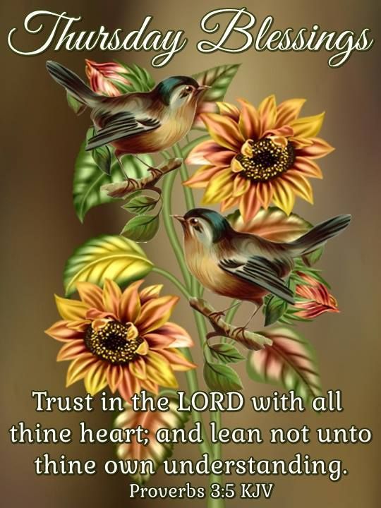 Bird With Sunflowers - Thursday Blessings 2022 Pictures, Photos, and ...