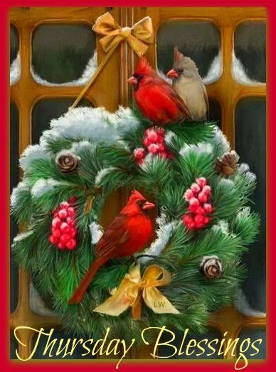 Cardinals On Christmas Wreath - Thursday Blessings Pictures, Photos ...