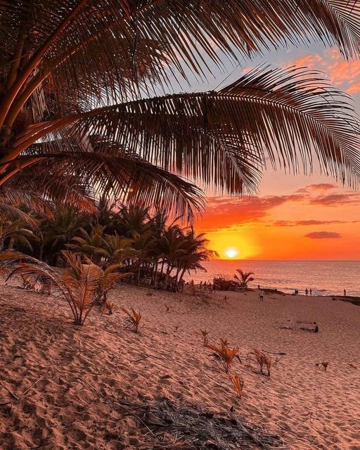 Sultry Sunset!! Pictures, Photos, and Images for Facebook, Tumblr ...