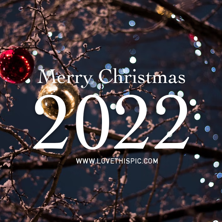 Baubles On Tree - Merry Christmas 2022 Pictures, Photos, and Images for ...