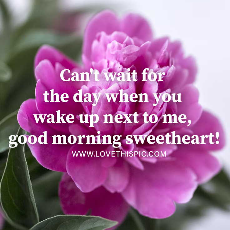 Can't Wait For The Day When You Wake Up Next To Me, Good Morning ...