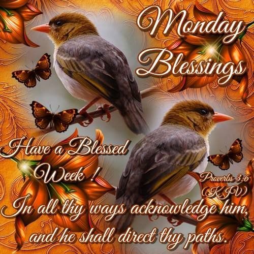 Fall Bird - Monday Blessings Pictures, Photos, and Images for Facebook ...