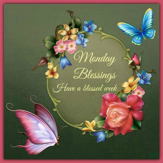 Flower Ring With Butterflies - Monday Blessings Pictures, Photos, and ...