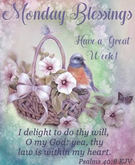Flower Basket With Bird - Monday Blessings Pictures, Photos, and Images ...
