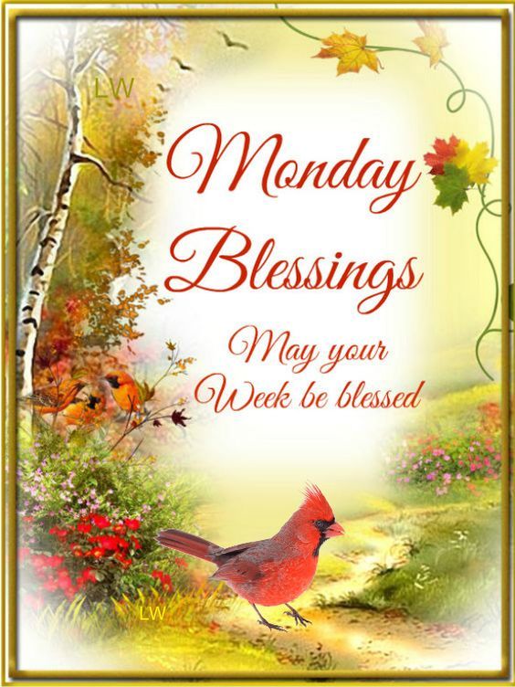 May Your Week Be Blessed - Monday Blessings Pictures, Photos, and ...