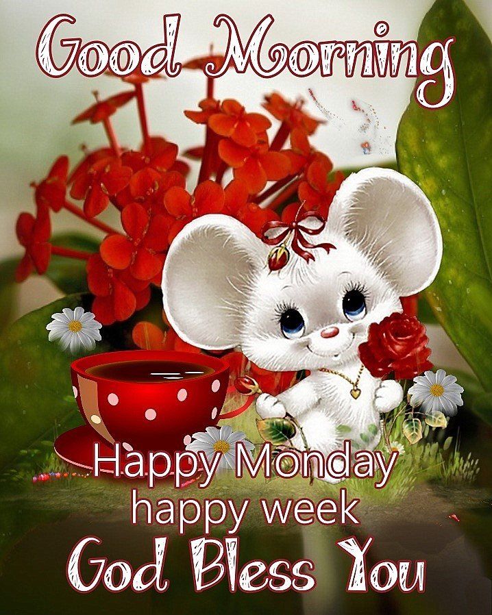 Cute Mouse With Rose - Good Morning Happy Monday Pictures, Photos, and ...