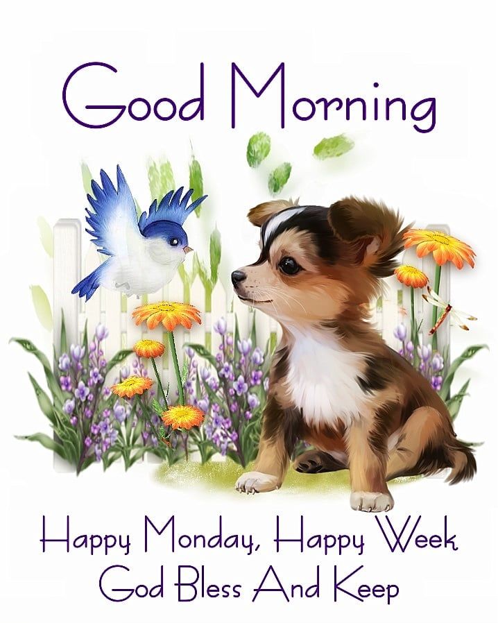 Happy Monday, Happy Week. God Bless And Keep. Good Morning Pictures ...