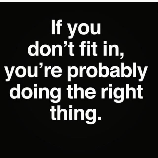 If You Don't Fit In, You're Probably Doing The Right Thing Pictures ...