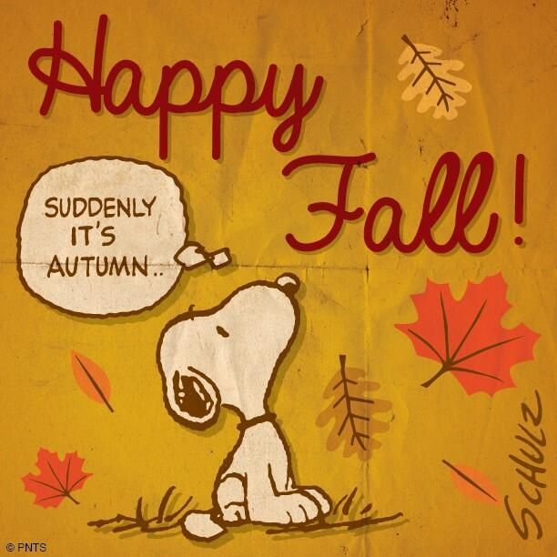 Snoopy Happy Fall Quote Pictures, Photos, and Images for Facebook ...