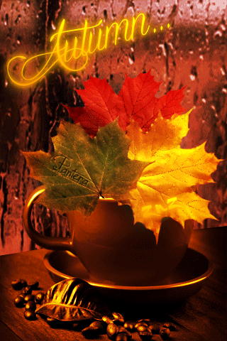 Autumn Rain Gif