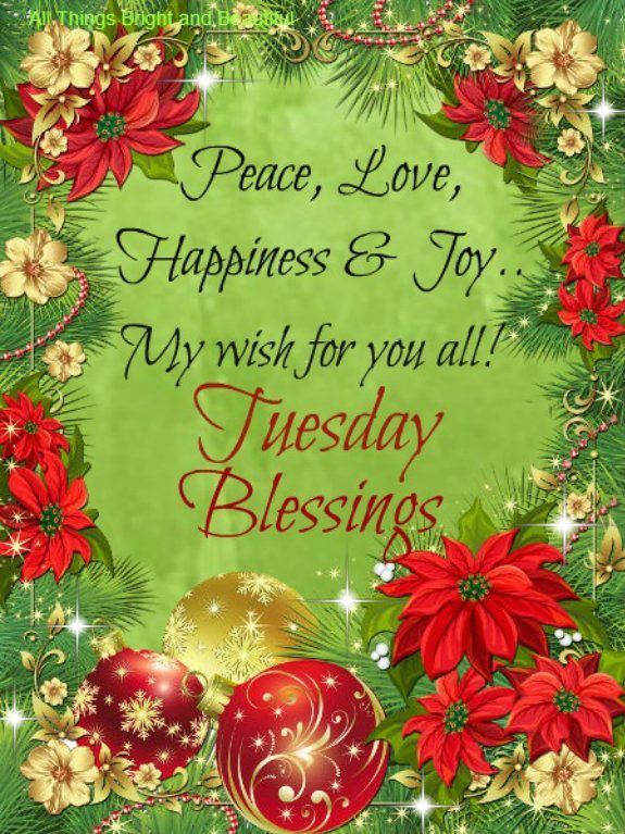 Christmas Flowers & Ornaments - Tuesday Blessings Pictures, Photos, and ...