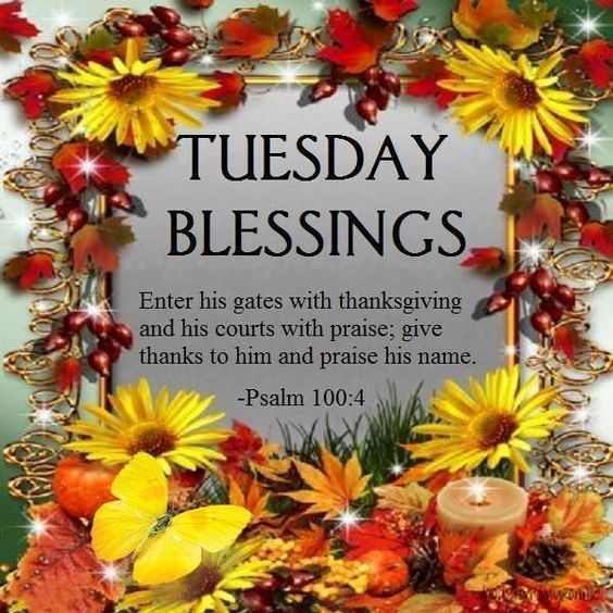 Fall Flowers - Tuesday Blessings Pictures, Photos, and Images for ...