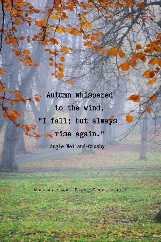 Autumn Whispered To The Wind, "I Fall; But Always Rise Again" Pictures ...