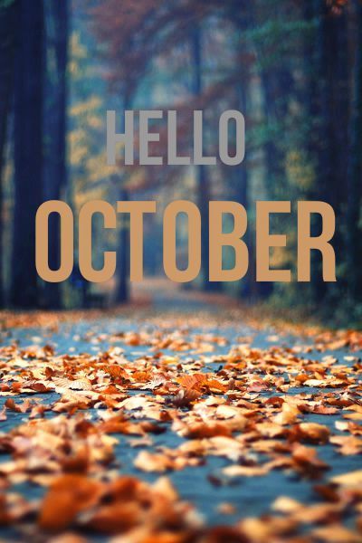 Fall Leaves On Ground - Hello October Pictures, Photos, and Images for ...